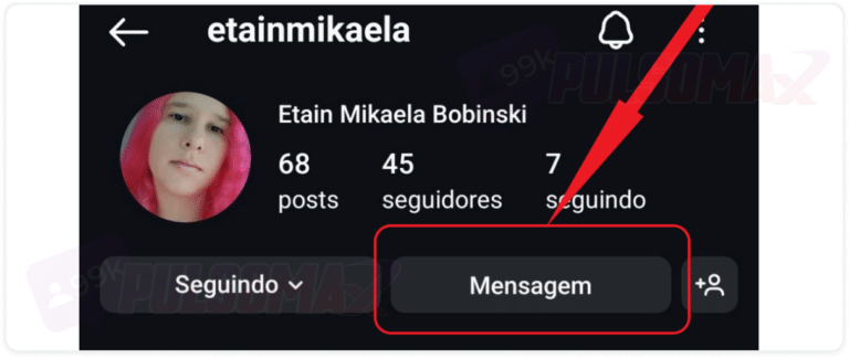 O que significa DM no Instagram (Respondido) - Agência PulsoMax